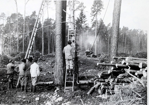 Förderverein Forstmuseum Ballenberg FFMB